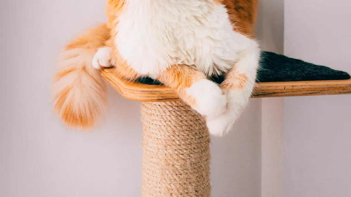Top Picks For Budget Friendly Cat Scratching Posts In 2025 Petcantalk